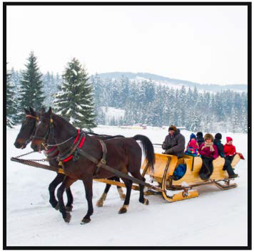 Snowy Sleigh Ride | Compare to Gold Canyon Sleigh Ride – Sunset Canyon ...